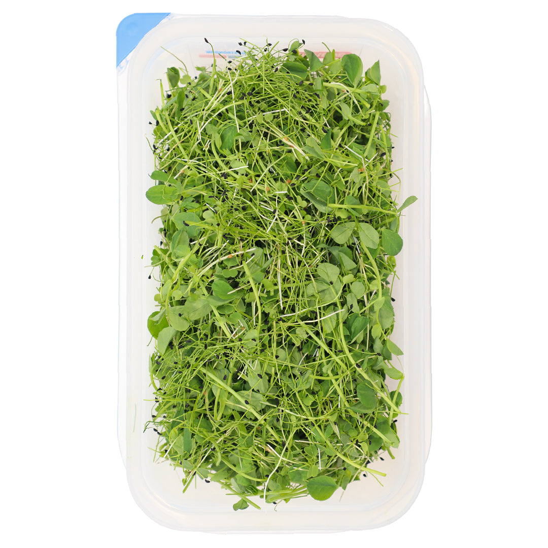 Zesty Mix – Cheeky Harvest